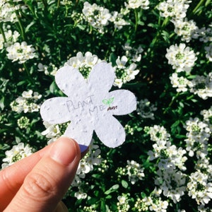 Plant Me! Flower Confetti: Plantable Seed Paper | 2 Inches in Diameter ...