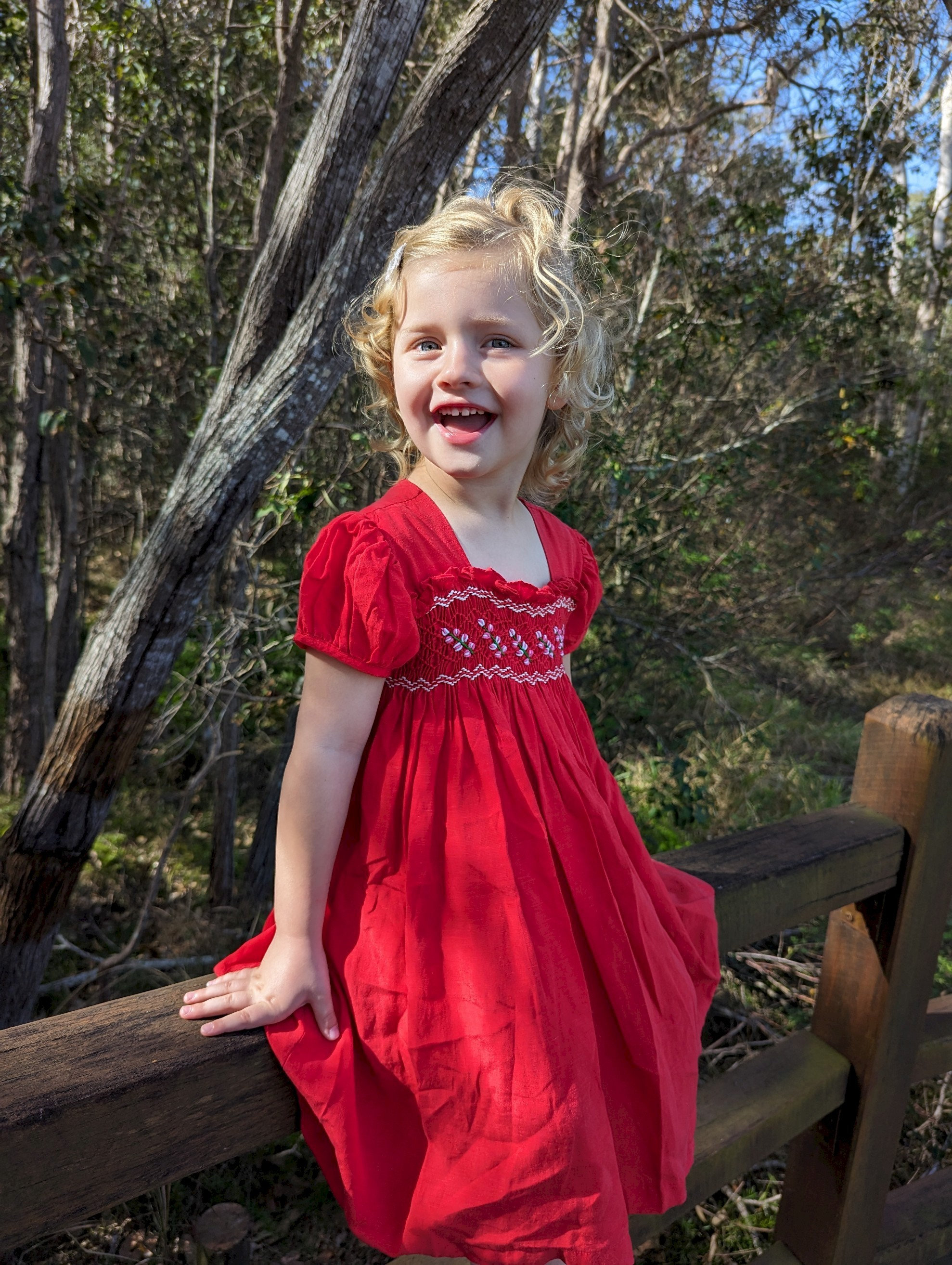 Scarlet Red Smocked Dress - Etsy