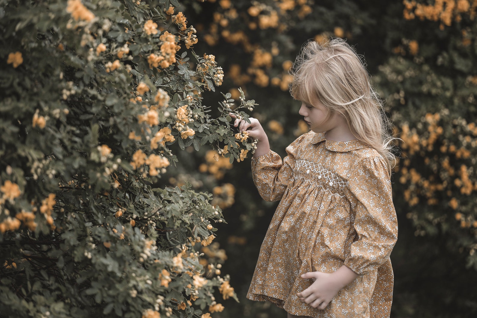 Long Sleeves Autumn Smocked Top - Etsy