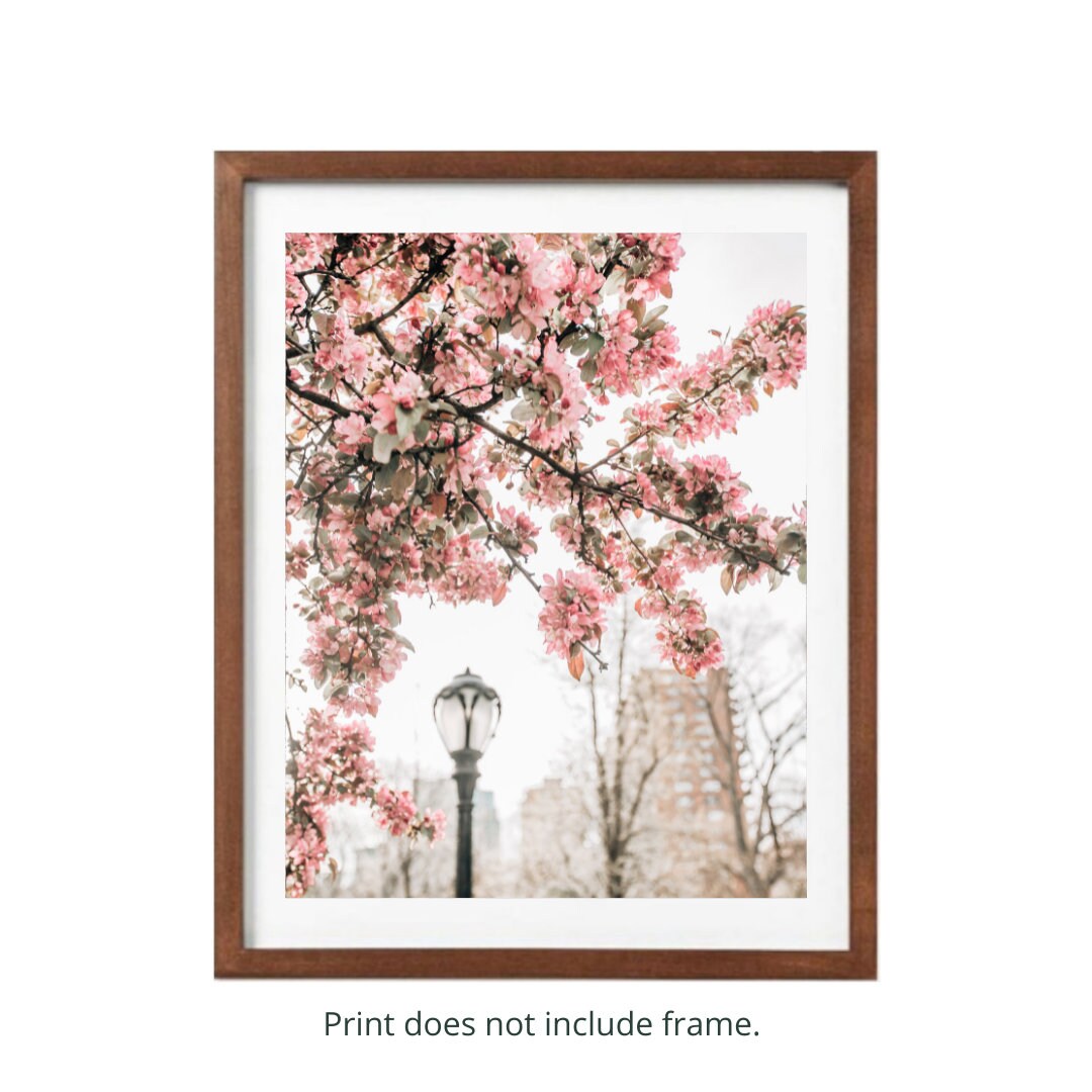 1. central Park Spring Path Central Park New York Art Print, NYC Art ...