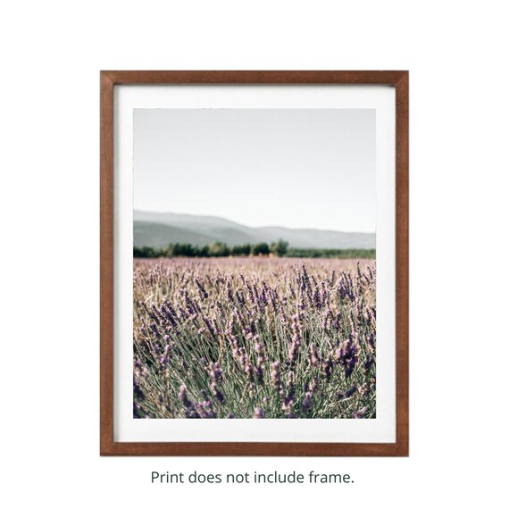 Lavender Field portrait Orientation Photography Print in the | Etsy