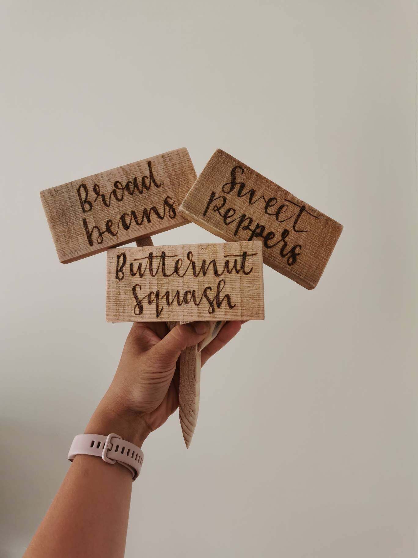 Vegetable Garden Signs Herb Signs Fruit and Veg Signs - Etsy UK