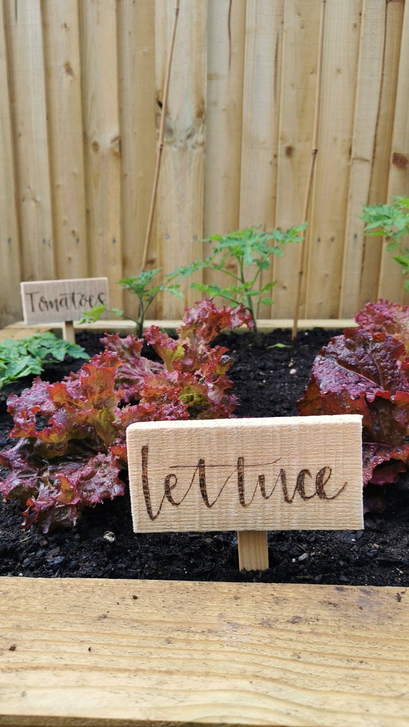 Vegetable Garden Signs Herb Signs Fruit and Veg Signs - Etsy UK