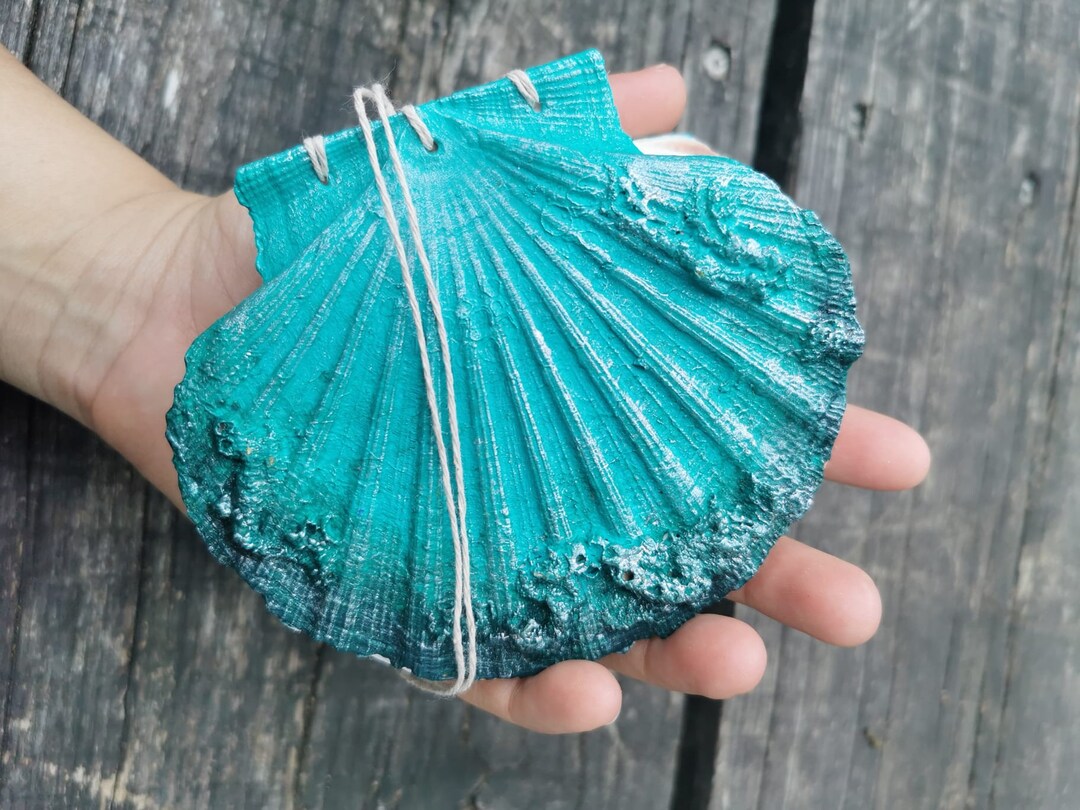 Scallop Shell Notebook - Etsy