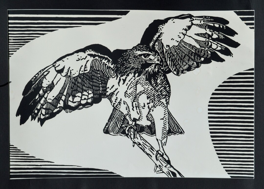 Red Tailed Hawk Print - Etsy