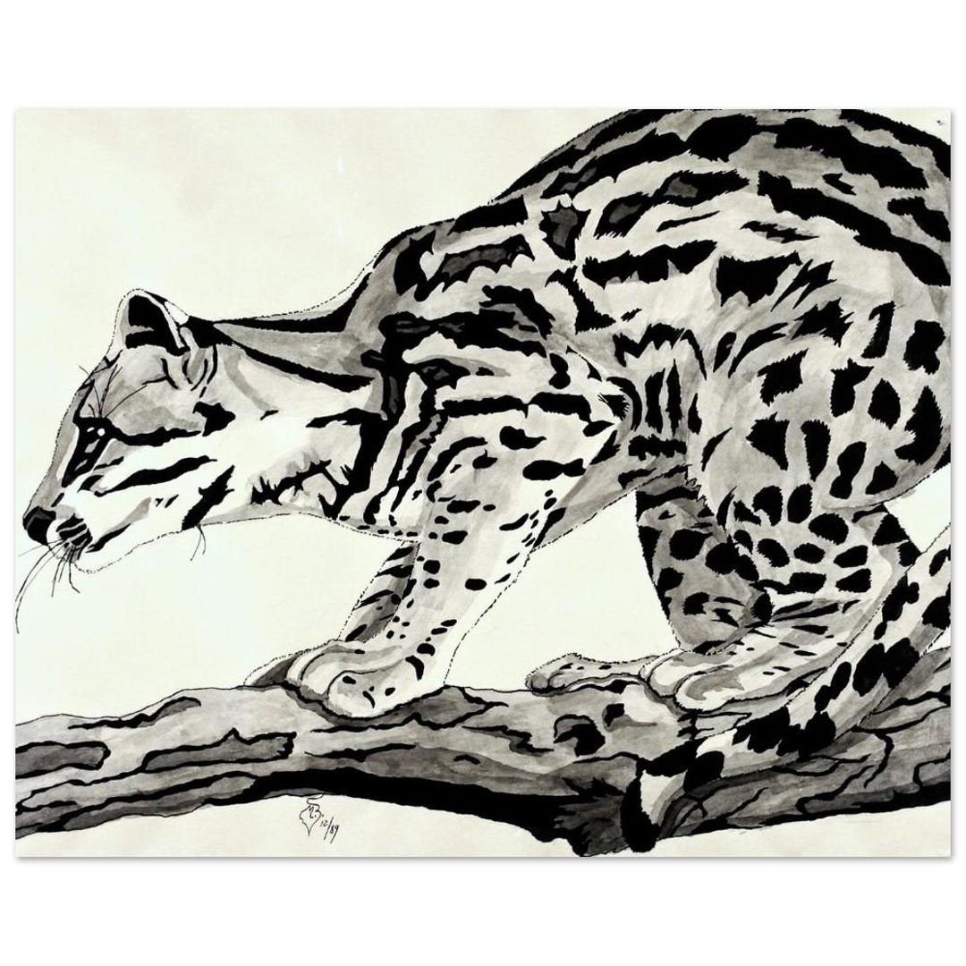 Ocelot - Premium Matte Paper Poster 40x50 Cm / 16x20″ - Etsy