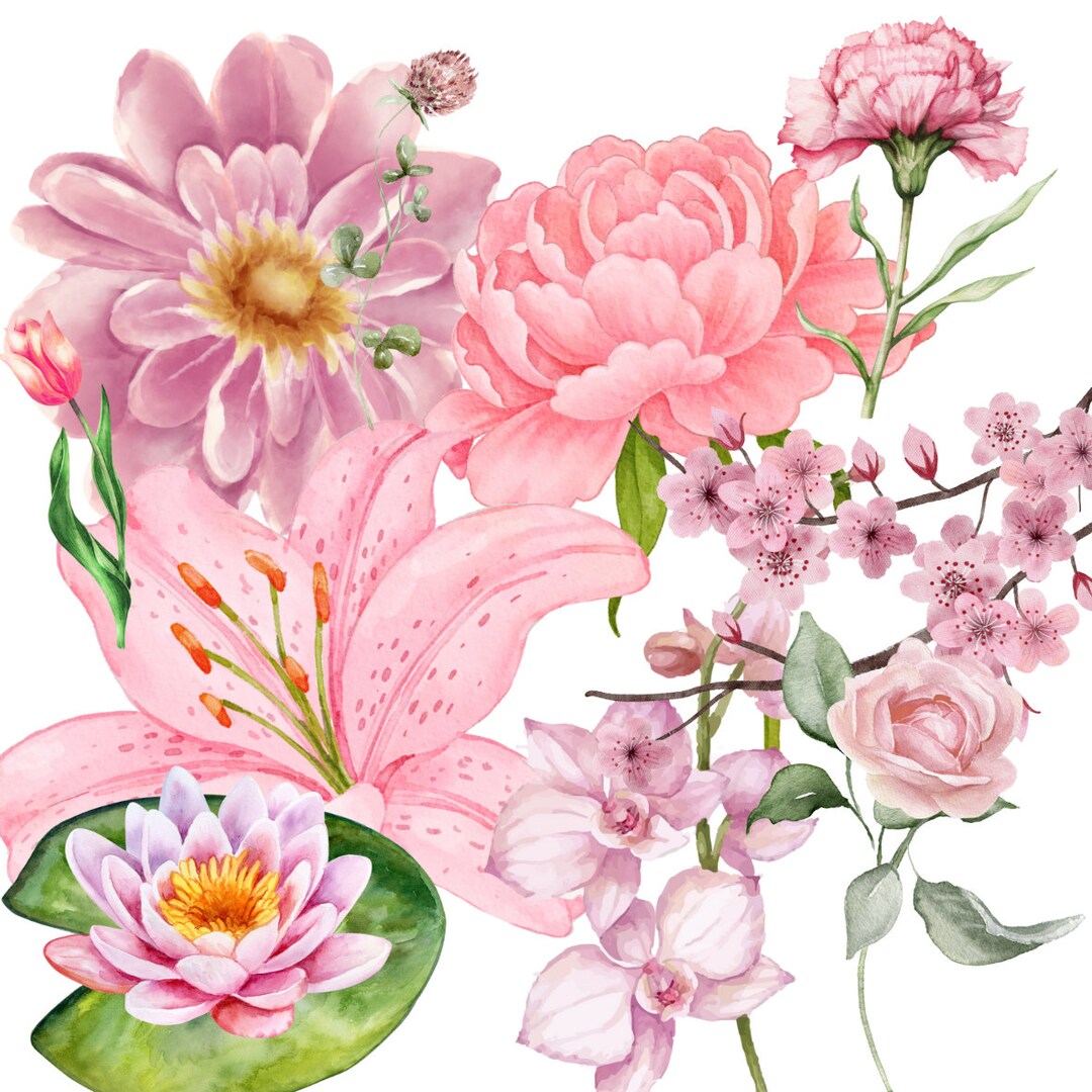 PINK FLOWERS - Visual Attention Worksheets - Etsy