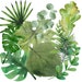 GREEN LEAVES - Visual Attention Worksheets - Etsy