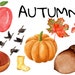 AUTUMN Worksheets Bundle - Etsy