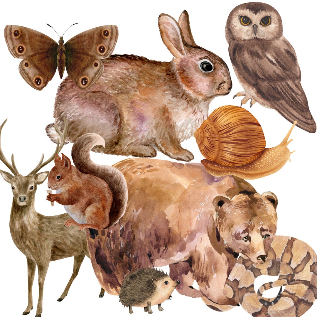 BROWN ANIMALS - Visual Attention Worksheets - Etsy