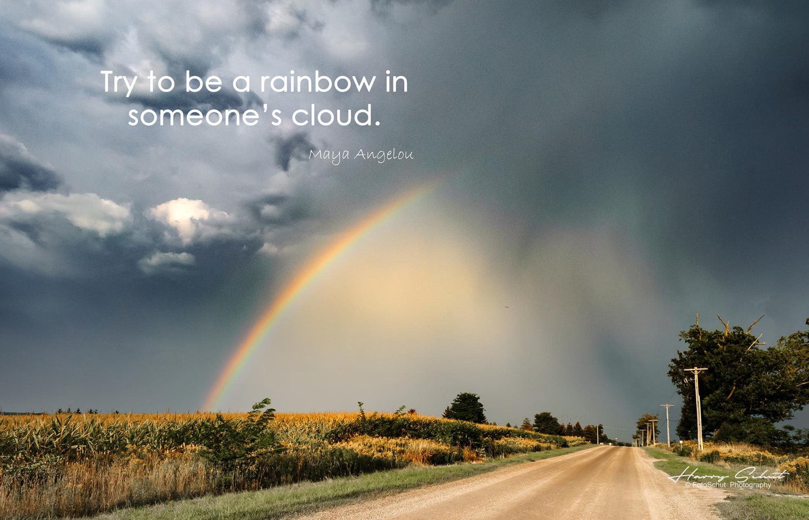 Rainbow Positive Support Positivity Good Emotions - Etsy