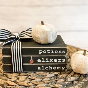 Witch Wooden Books, Mini Book Stack, Faux Book Bundle, Potions, Elixers ...
