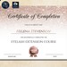 Certificate of Completion Certificate Template Rose Gold - Etsy