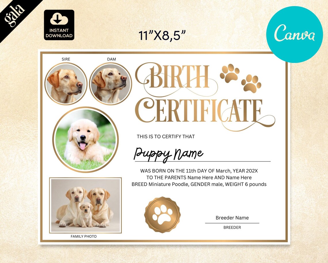 Puppy Birth Certificate With a Photo of Sire and Dam 008 - Etsy