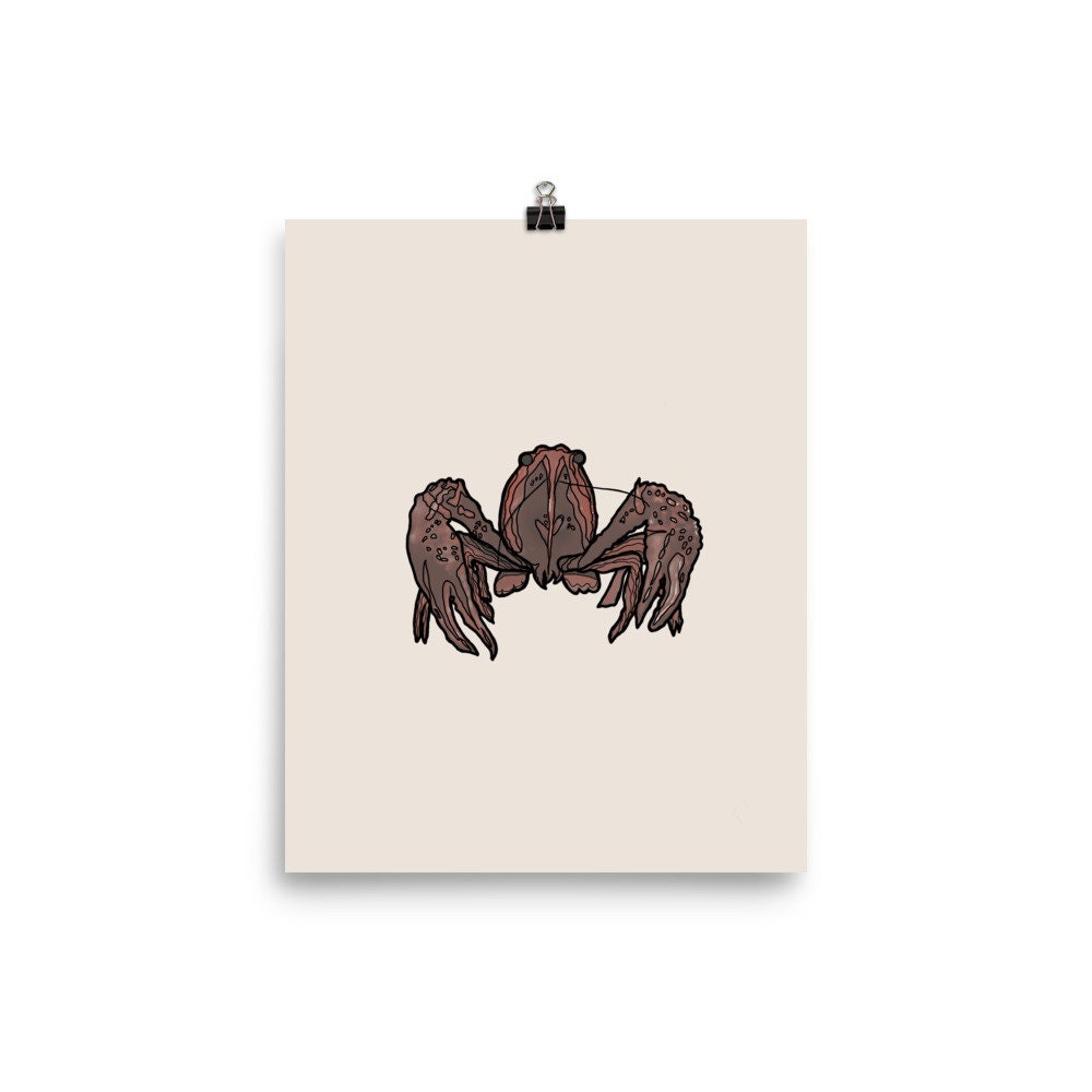 Fine Line Crawfish Print - Etsy