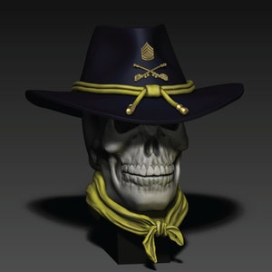 BADAZZ SKULLZ, Mini Cavalry Skull, 1st Cavalry Division, Stetson, CAV ...