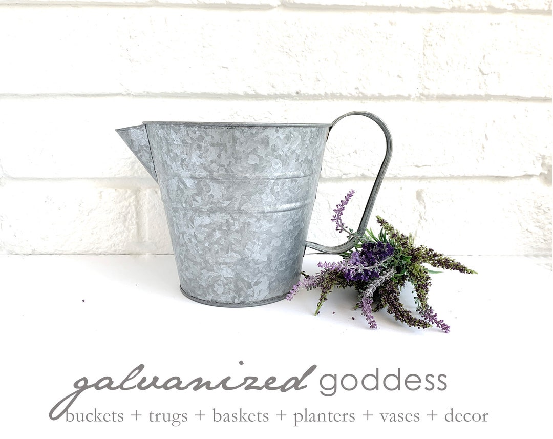 CLEARANCE Big Mouth Galvanized Watering Pitcher, Plant Watering, Rustic ...