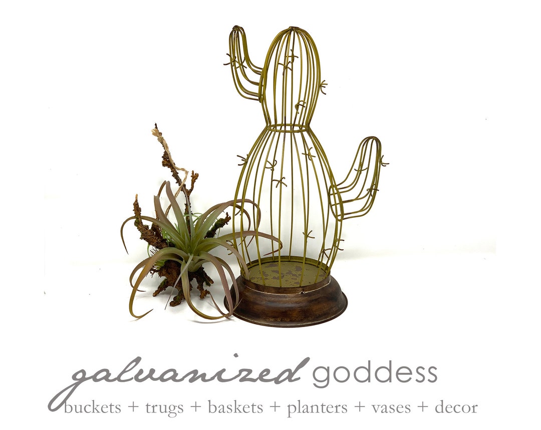 Prickly Cactus Plant Holder, Mustard, Cactus Decor, Tabletop Cactus ...