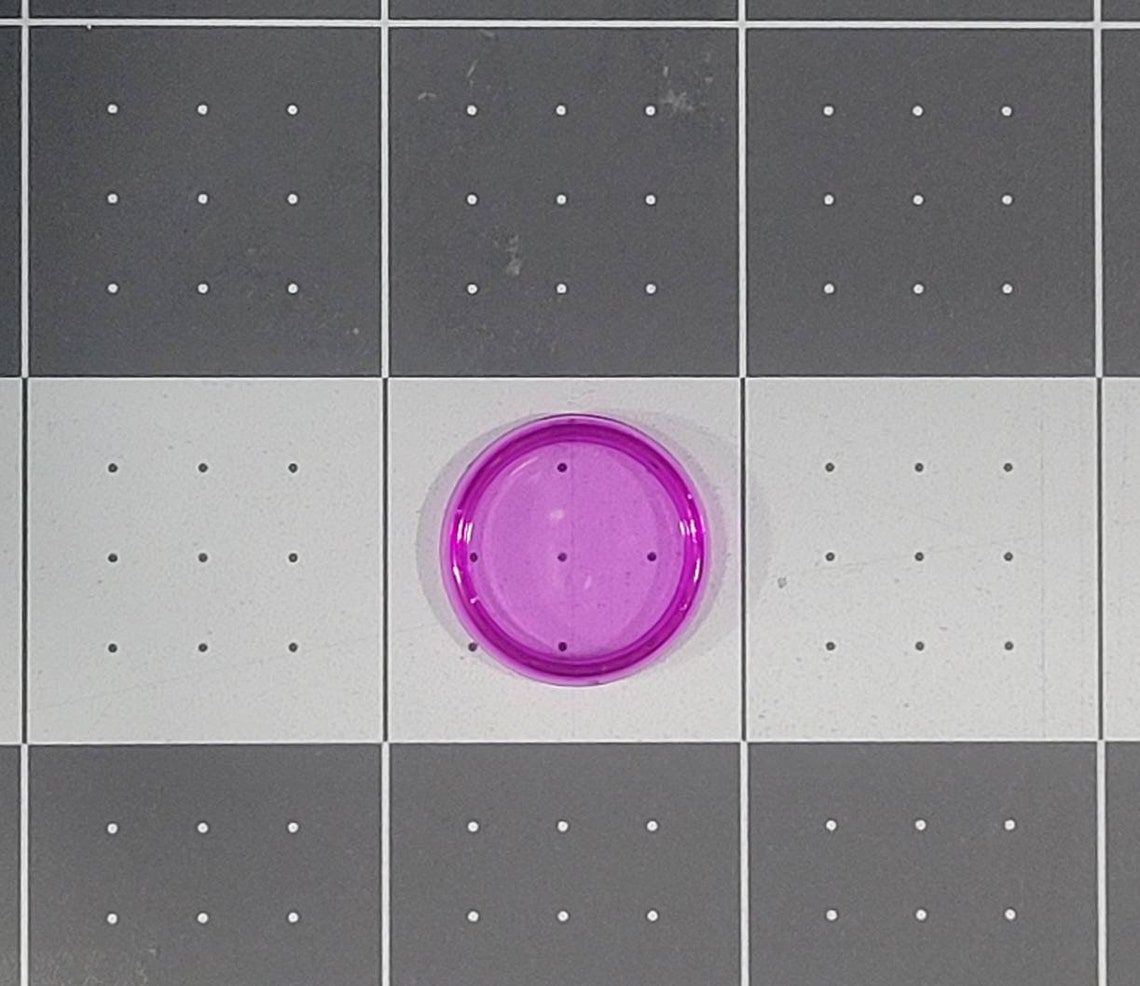 Planner Binder Scrapbooking Mini Plastic Discs FREE SHIPPING - Etsy
