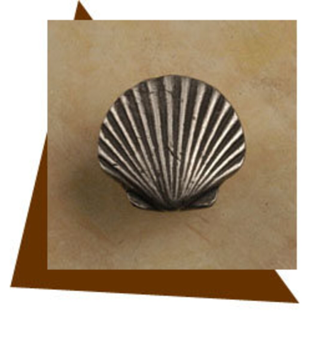 Nautical Collection Sea Shell Cabinet Knob (small) - Etsy
