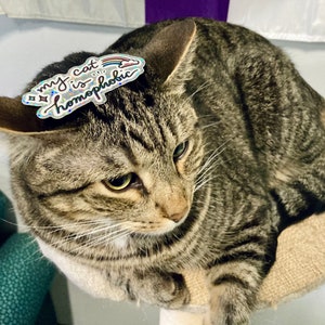 My Cat is Homophobic Sticker Meme LGBTQ Pride Holographic Glitter Gag ...