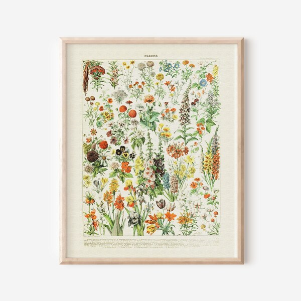 Aesthetic Floral Print - Etsy