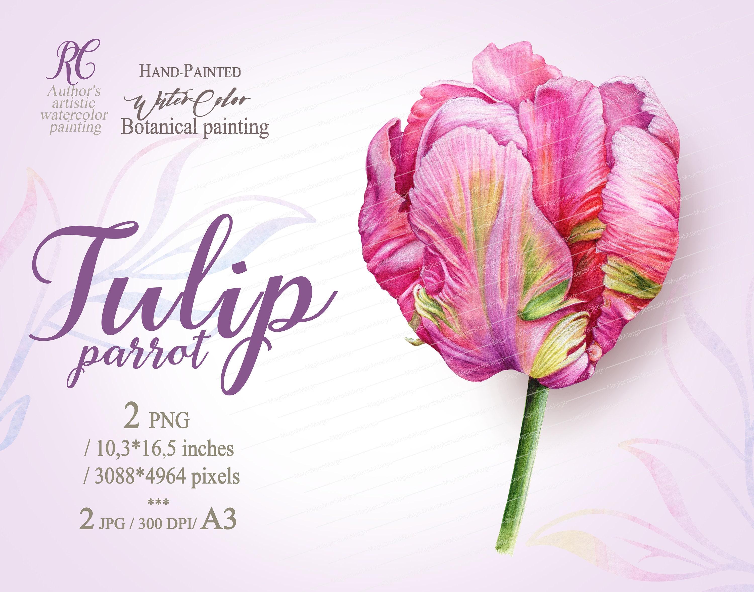 Artistic poster Print poster with tulip Realistic tulip | Etsy