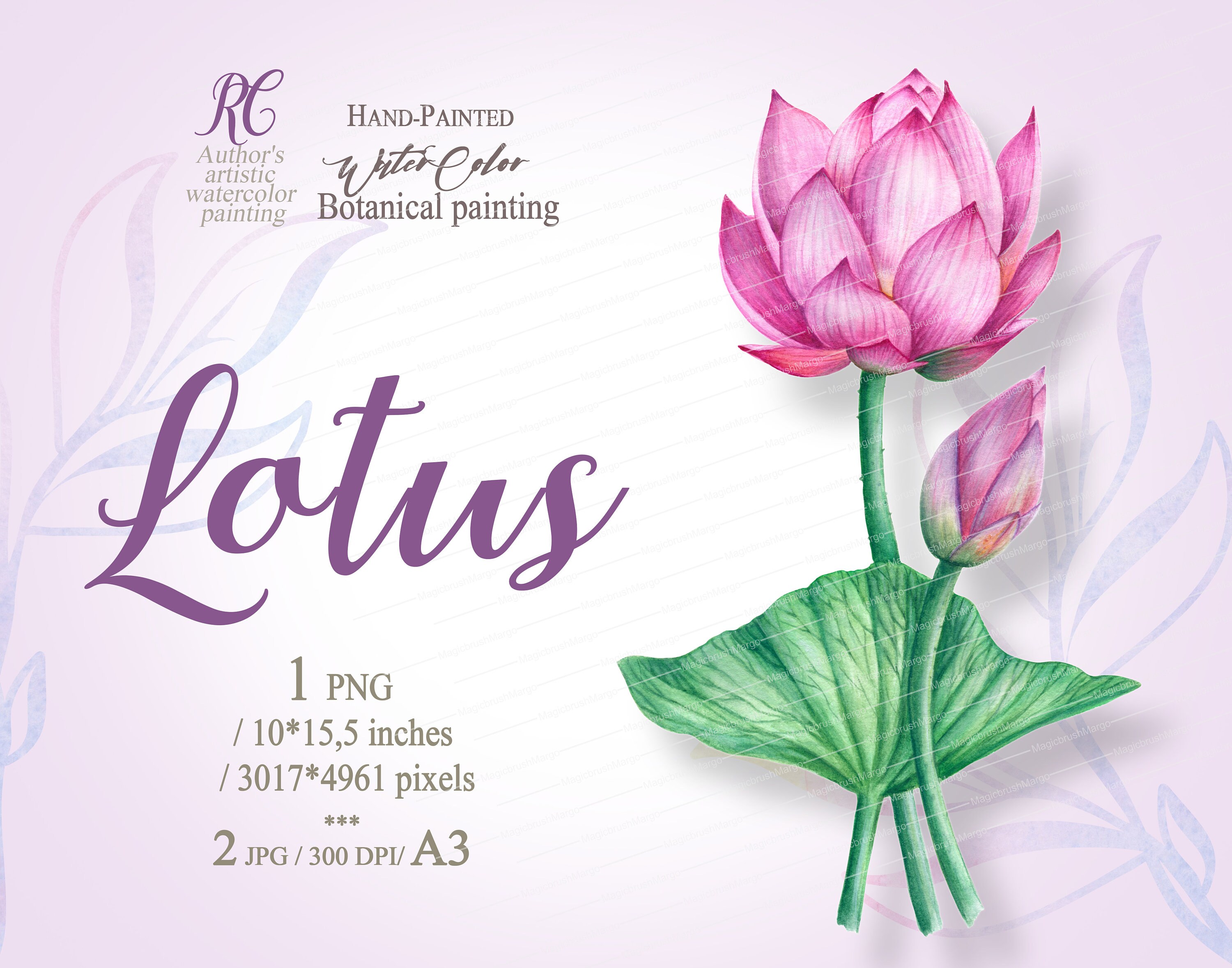 Artistic poster Lotus printable poster Realistic lotus | Etsy