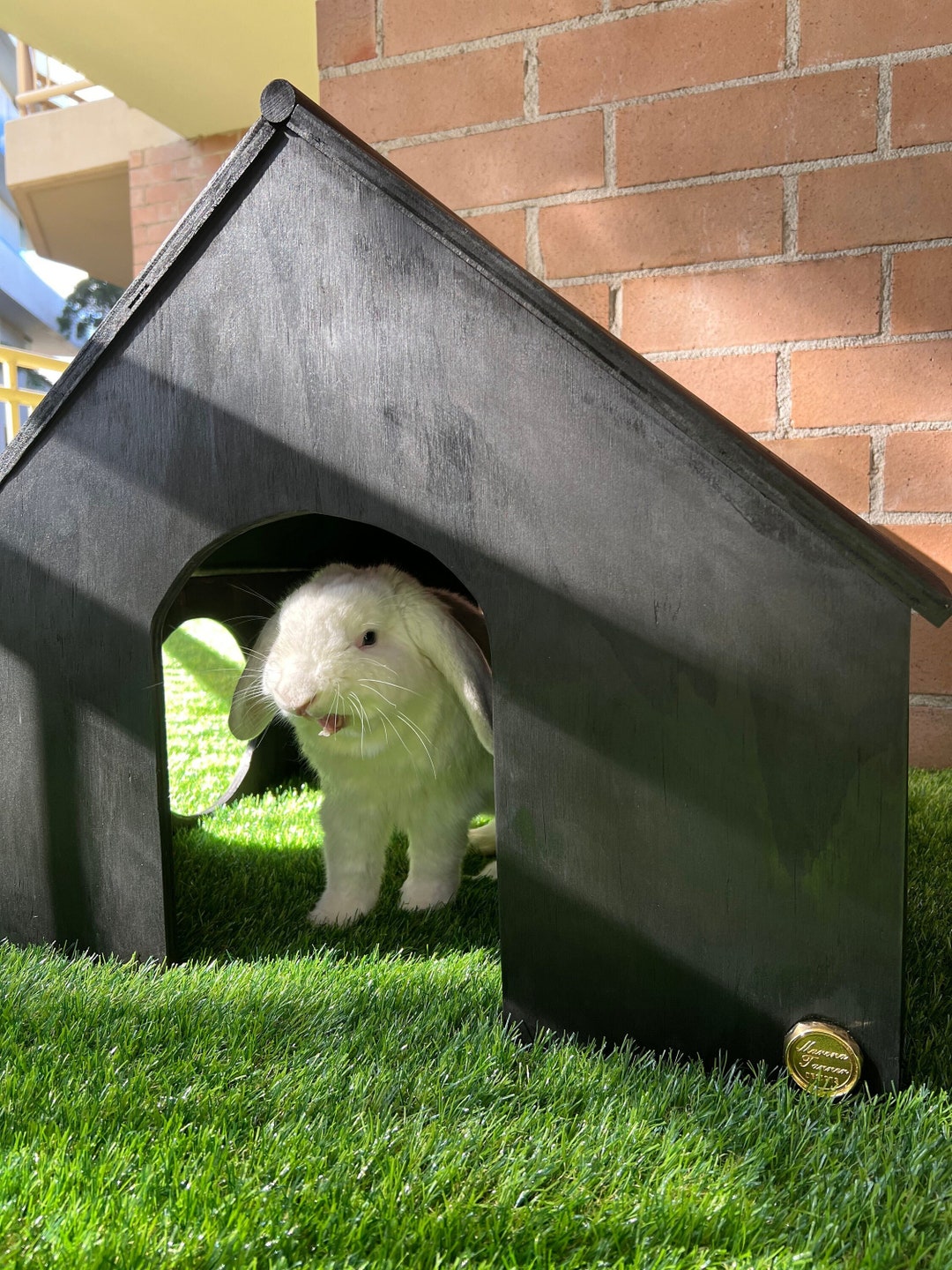 Bunny Rabbit Pet House - Etsy