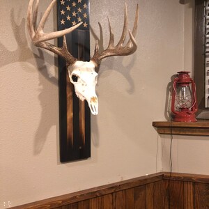 Old Glory Antler Rack | European Deer Mount - Etsy
