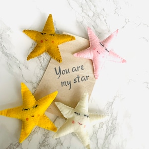 Felt Star, Star Gift, Postal Gift , Gift in Bag, You Are a Star , Your ...