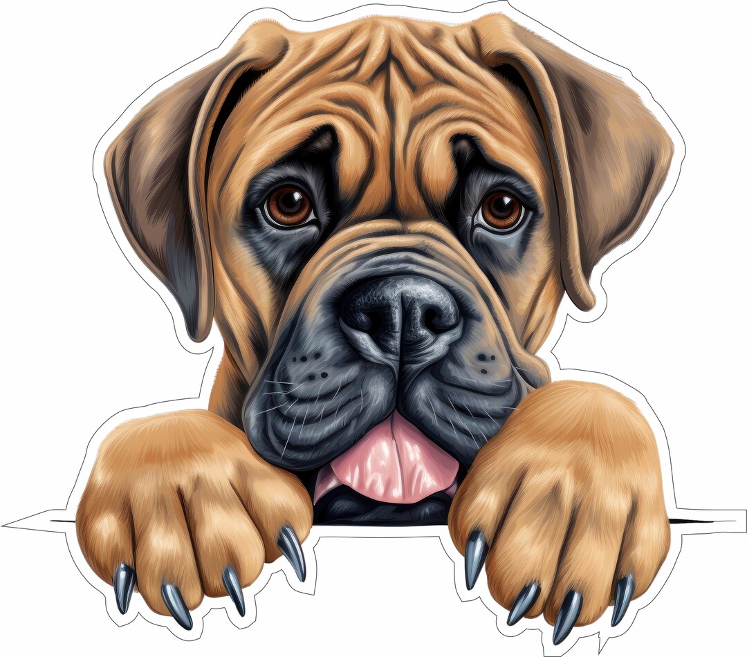 Boerboel - Peeking Dog - Vinyl Sticker Decal - Full Color Cad Cut Dog ...