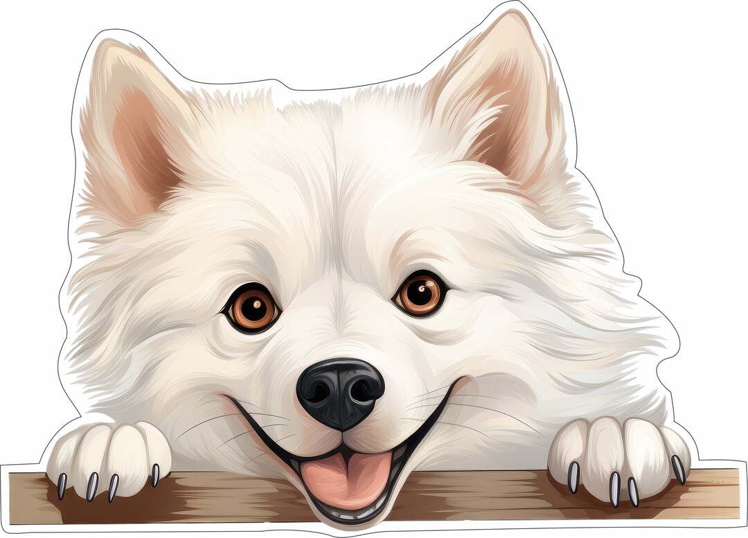 American Eskimo Dog - Peeking Dog - Vinyl Sticker Decal - Full Color ...