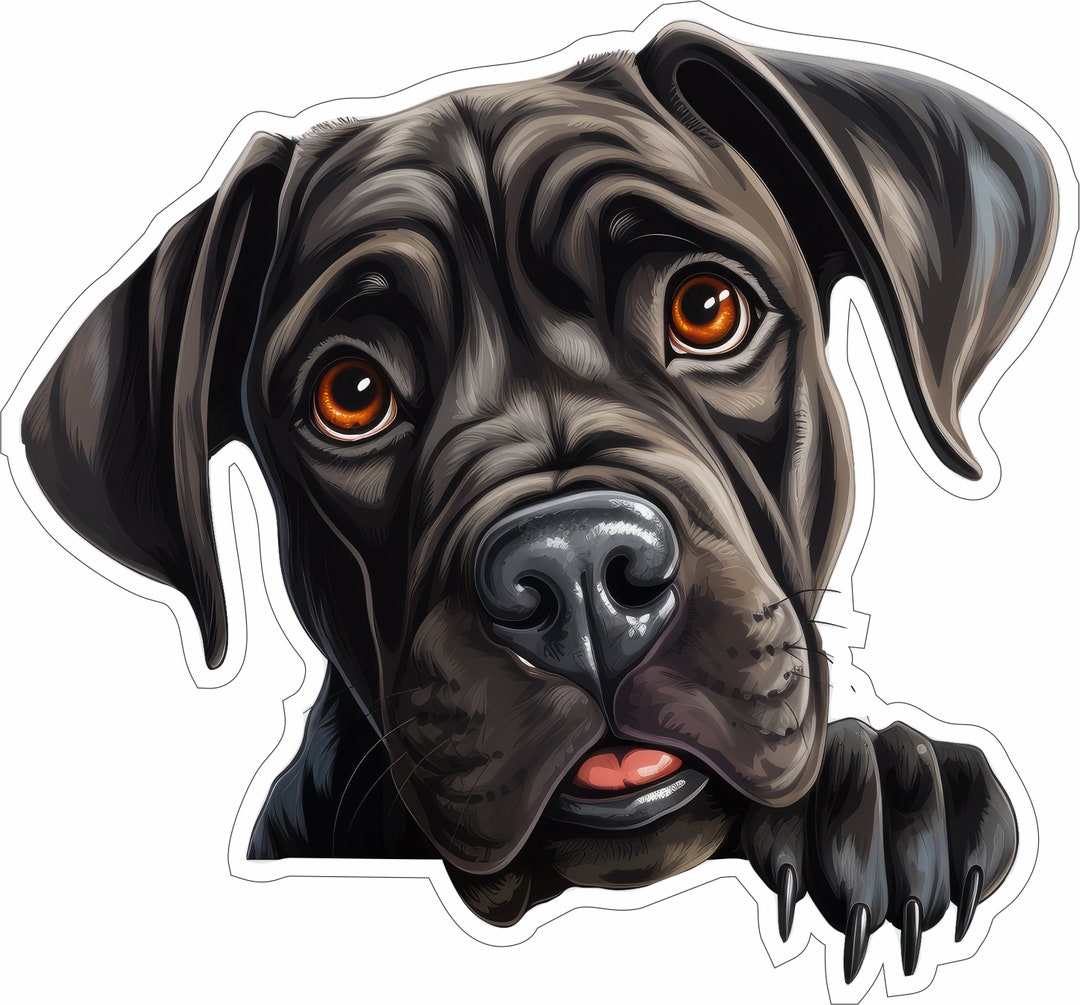 Cane Corso - Peeking Dog - Vinyl Sticker Decal - Full Color Cad Cut Dog ...