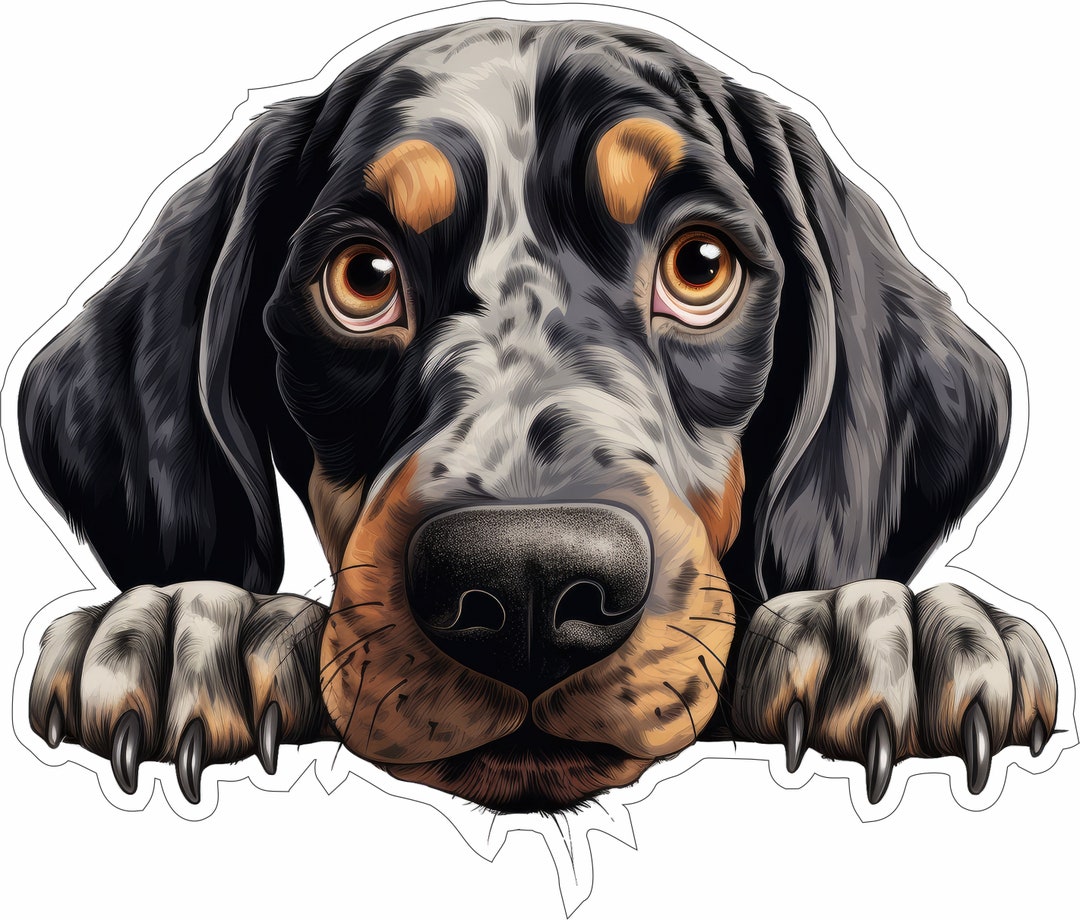 Bluetick Coonhound - Peeking Dog - Vinyl Sticker Decal - Full Color Cad ...