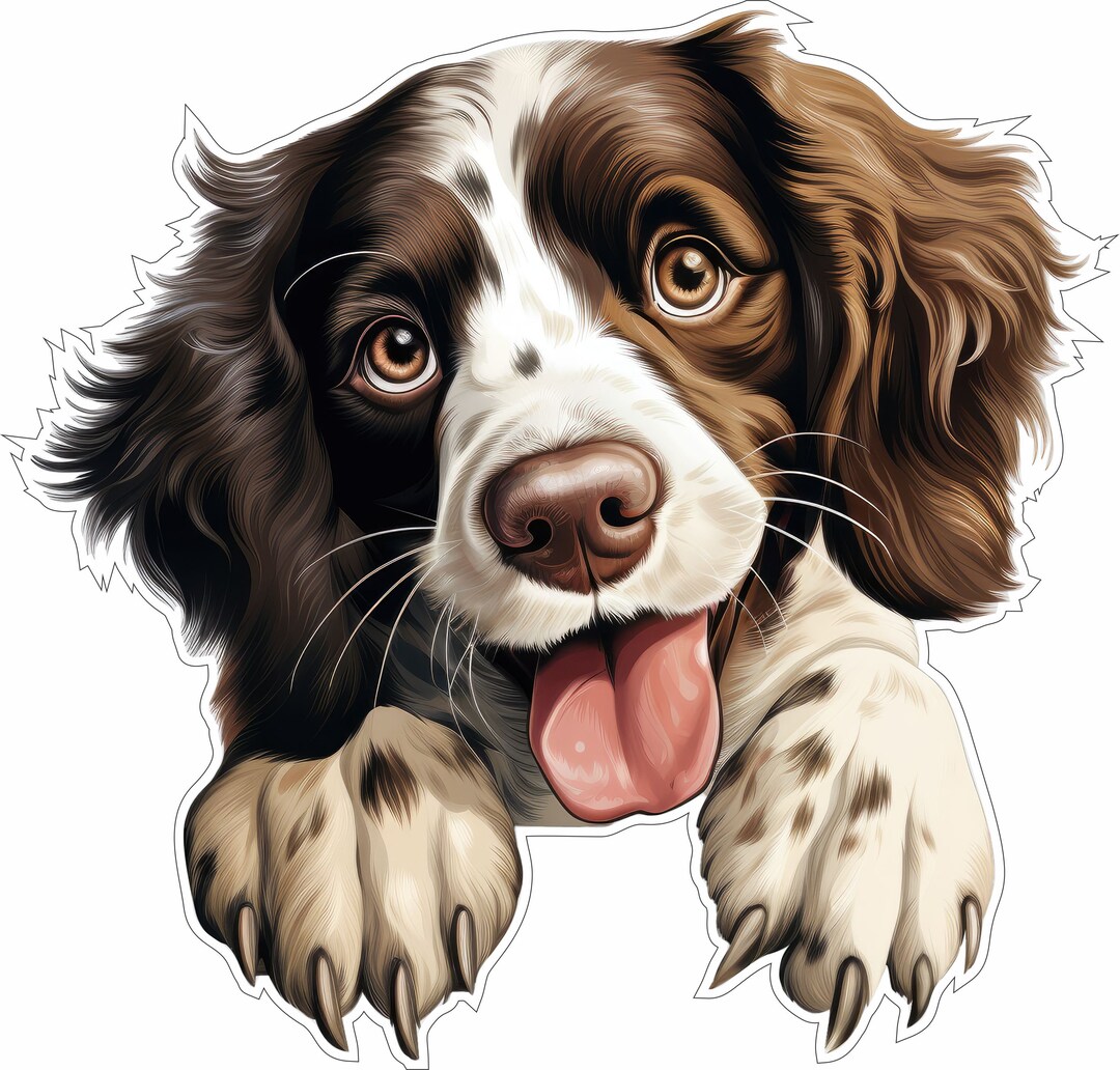 English Springer Spaniel Peeking Dog Vinyl Sticker Decal Full Color Cad ...