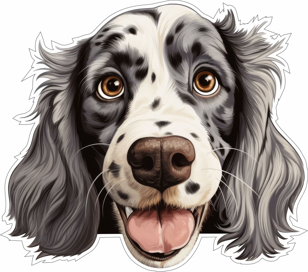 English Setter - Peeking Dog - Vinyl Sticker Decal - Full Color Cad Cut ...
