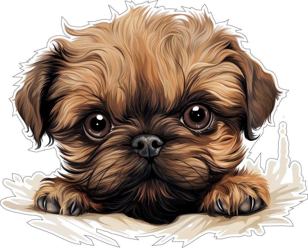 Brussels Griffon - Peeking Dog - Vinyl Sticker Decal - Full Color Cad ...