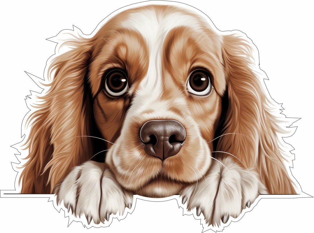 American Cocker Spaniel - Peeking Dog - Vinyl Sticker Decal - Full ...