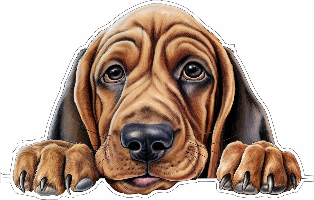 Bloodhound - Peeking Dog - Vinyl Sticker Decal - Full Color Cad Cut Dog ...