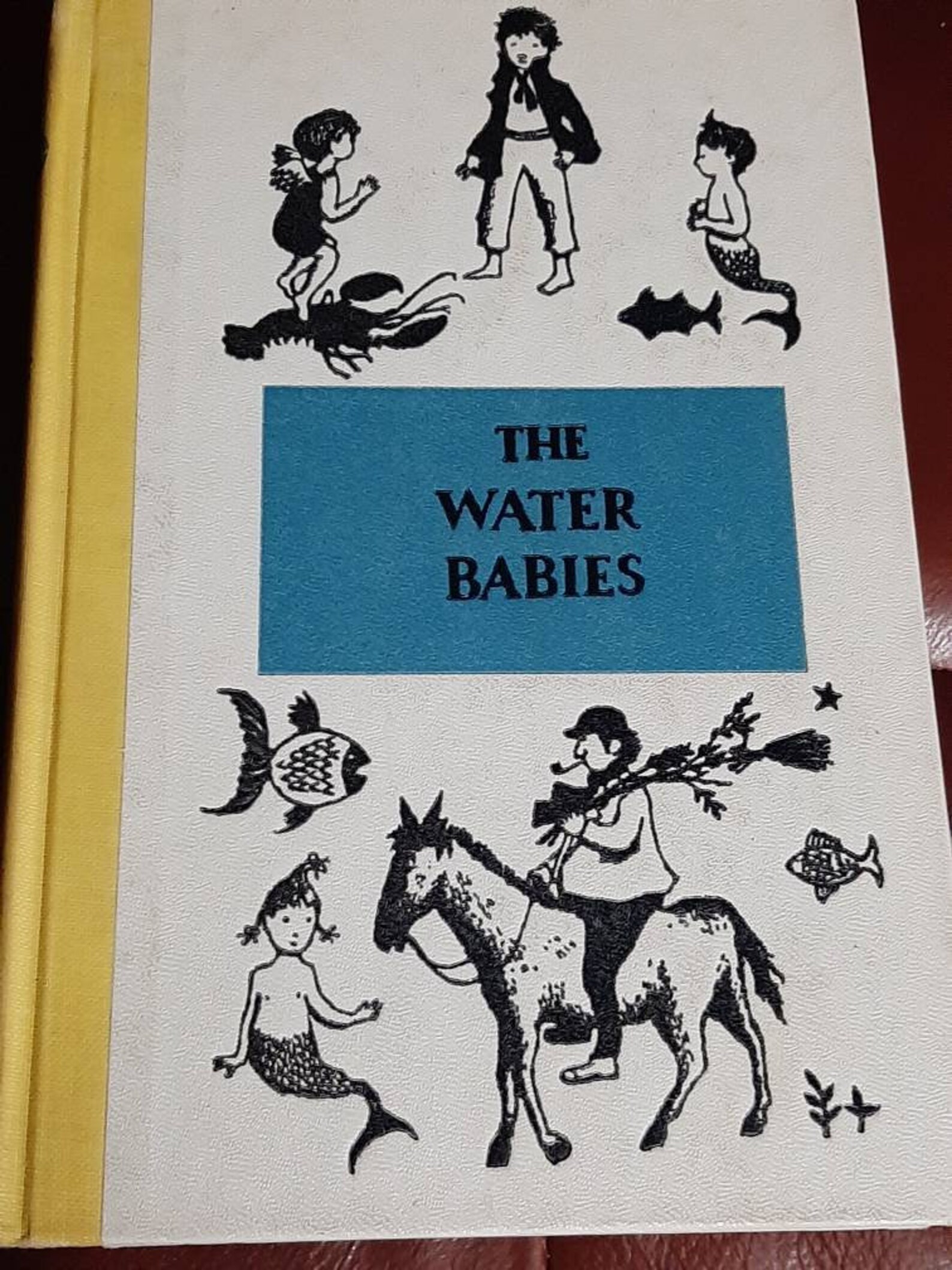 Classic collector book The Water babies by charles Kingsley | Etsy
