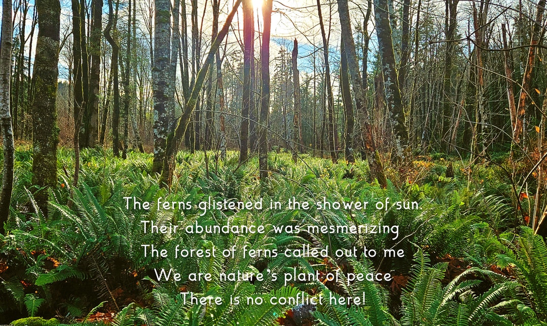 A Forest of Ferns and Poetry - Etsy