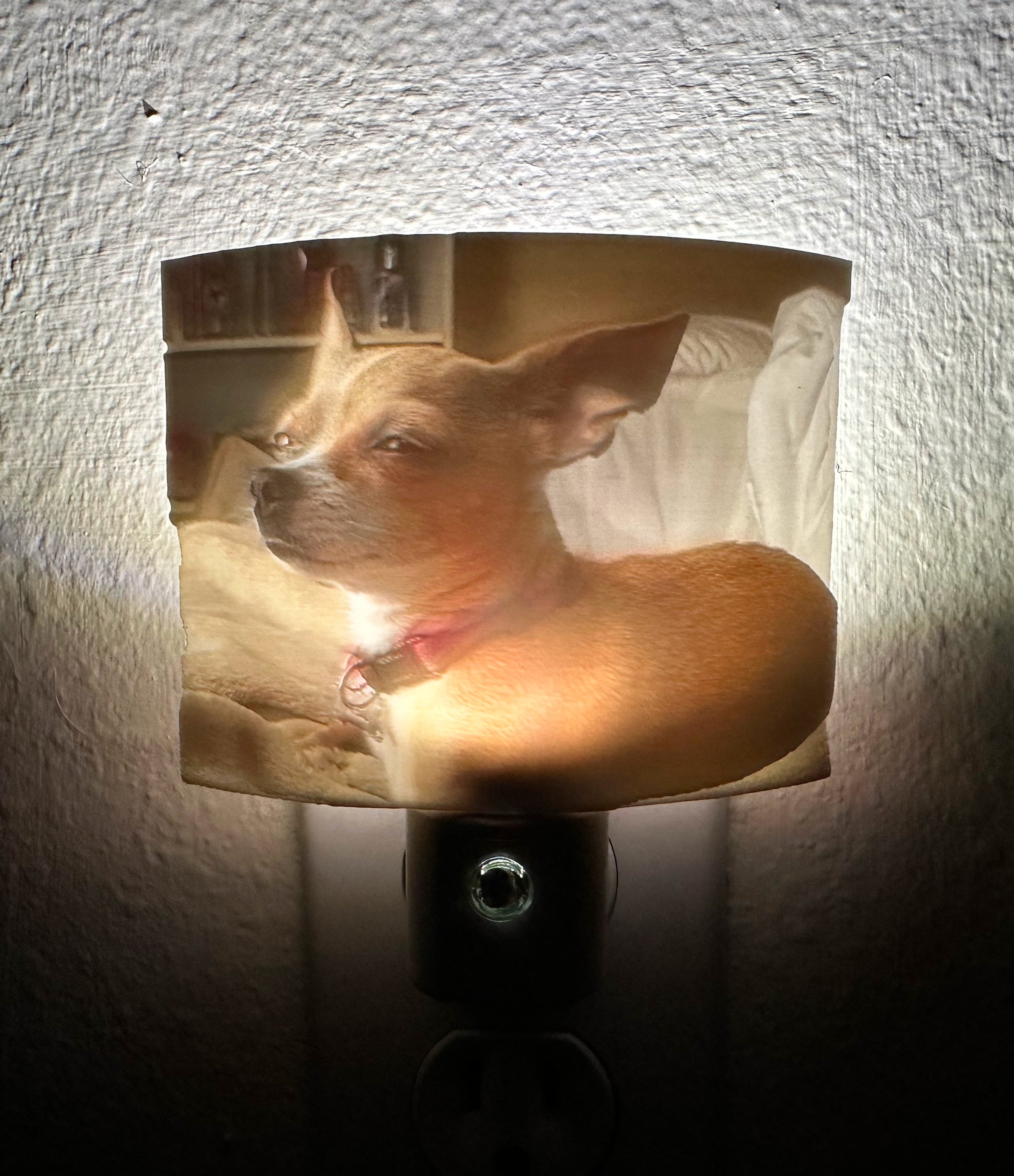 Custom Color Lithophane Night Light - 3D Printed - Etsy