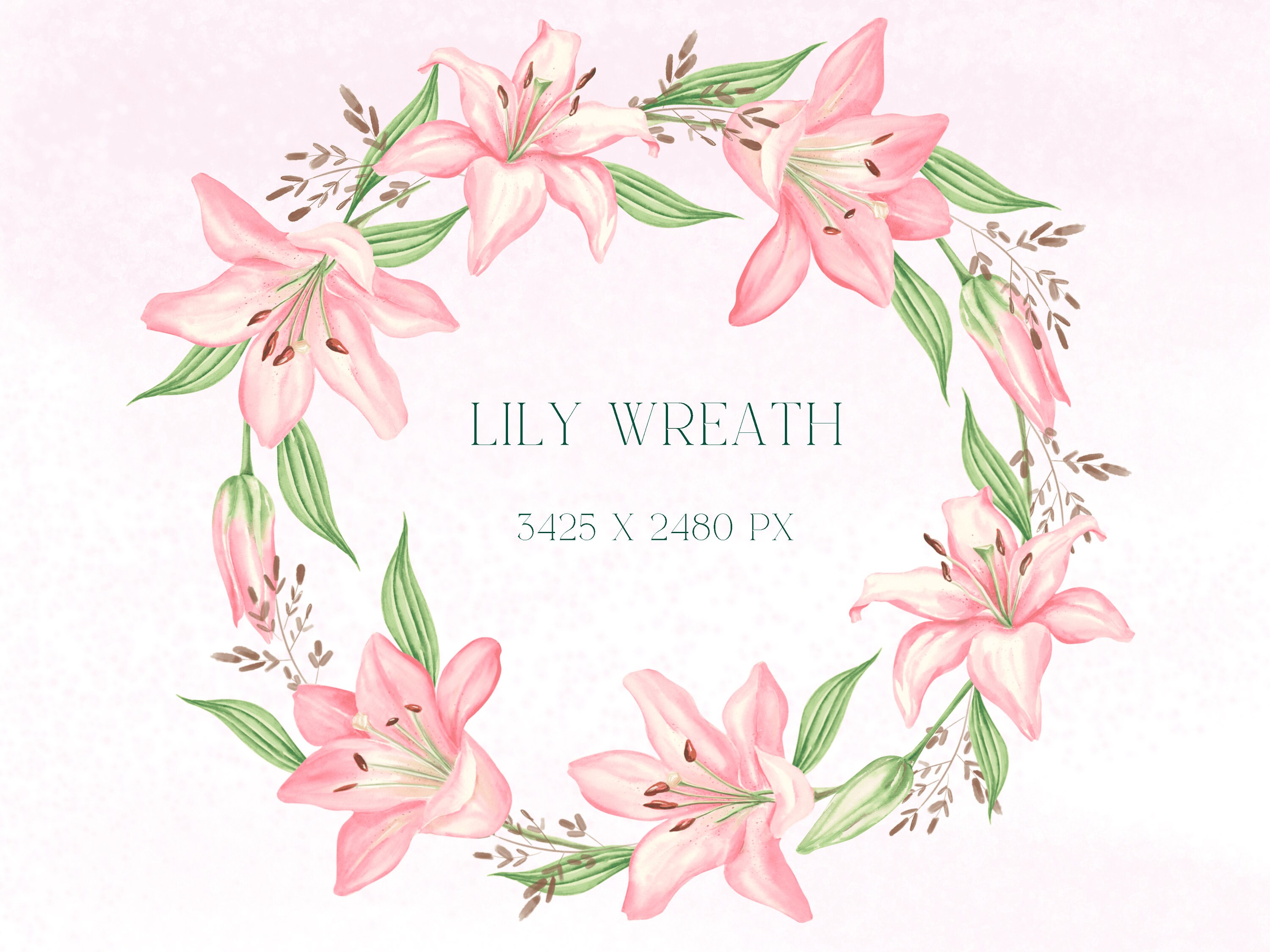 Lily Watercolor Clipart. Watercolor Digital Lilies. Lily Wreath ...