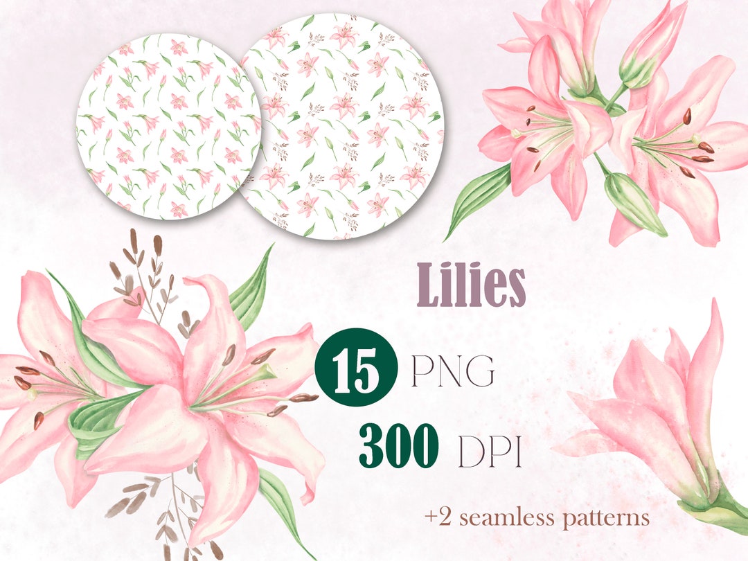 Lily Watercolor Clipart. Watercolor Digital Lilies. Lily Wreath ...