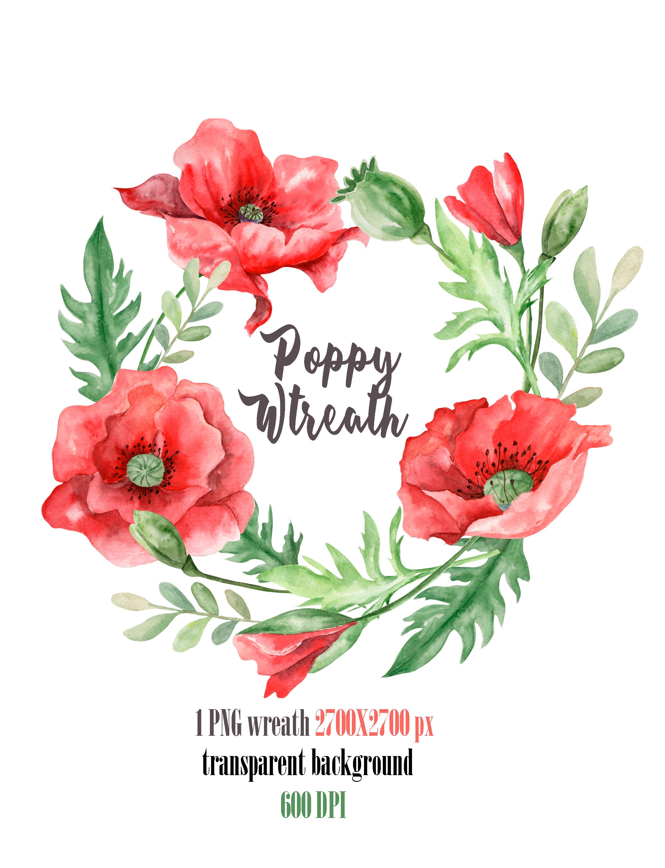 Watercolor Poppy Clipart. Watercolor Poppies Clipart. Digital Poppies ...