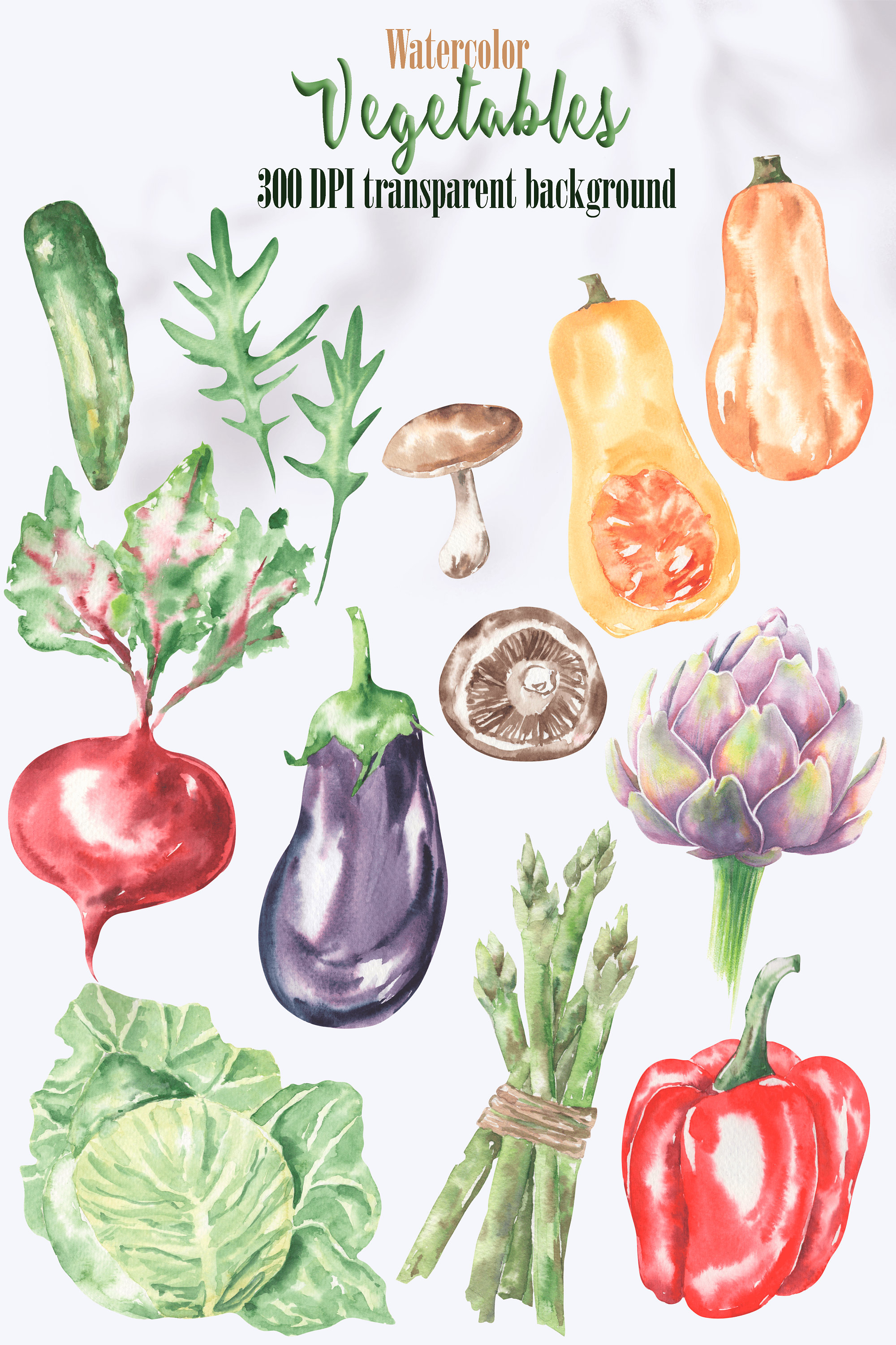 Vegetables PNG. Watercolor Vegetables Clipart,watercolor Food Clipart ...