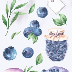 Blueberry Watercolor Clipart. Blueberries Watercolor Elements ...