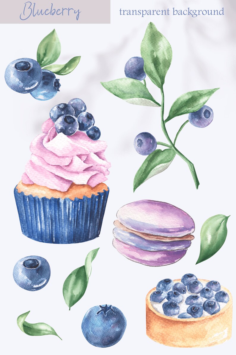 Blueberry Watercolor Clipart. Blueberries Watercolor Elements ...