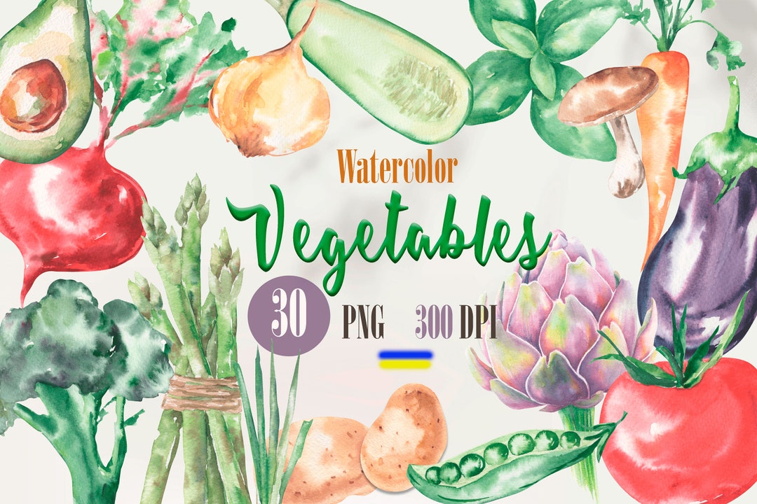 Vegetables PNG. Watercolor Vegetables Clipart,watercolor Food Clipart ...